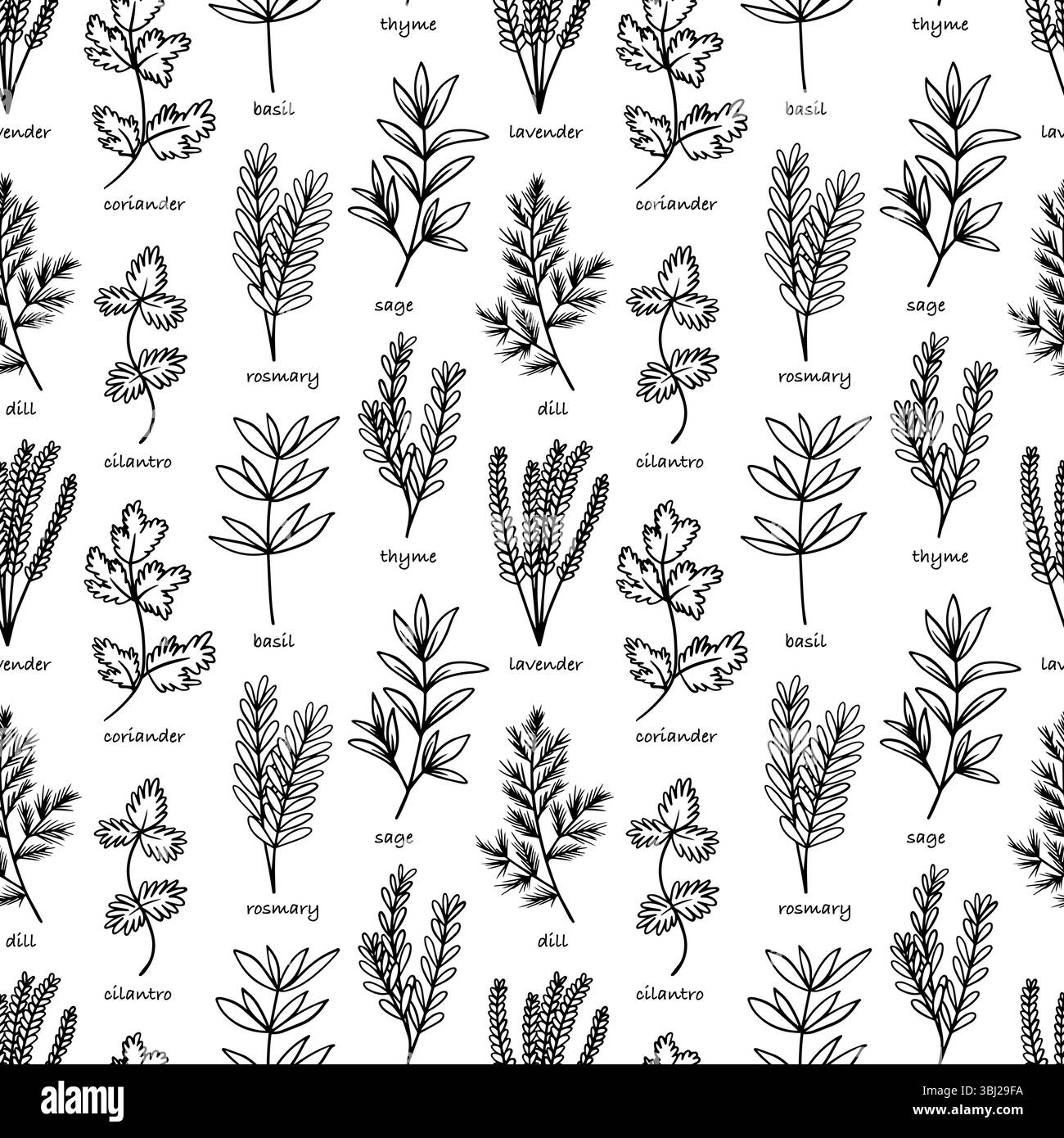 Cooking herbs spices seamless Stock Vector Images - Alamy