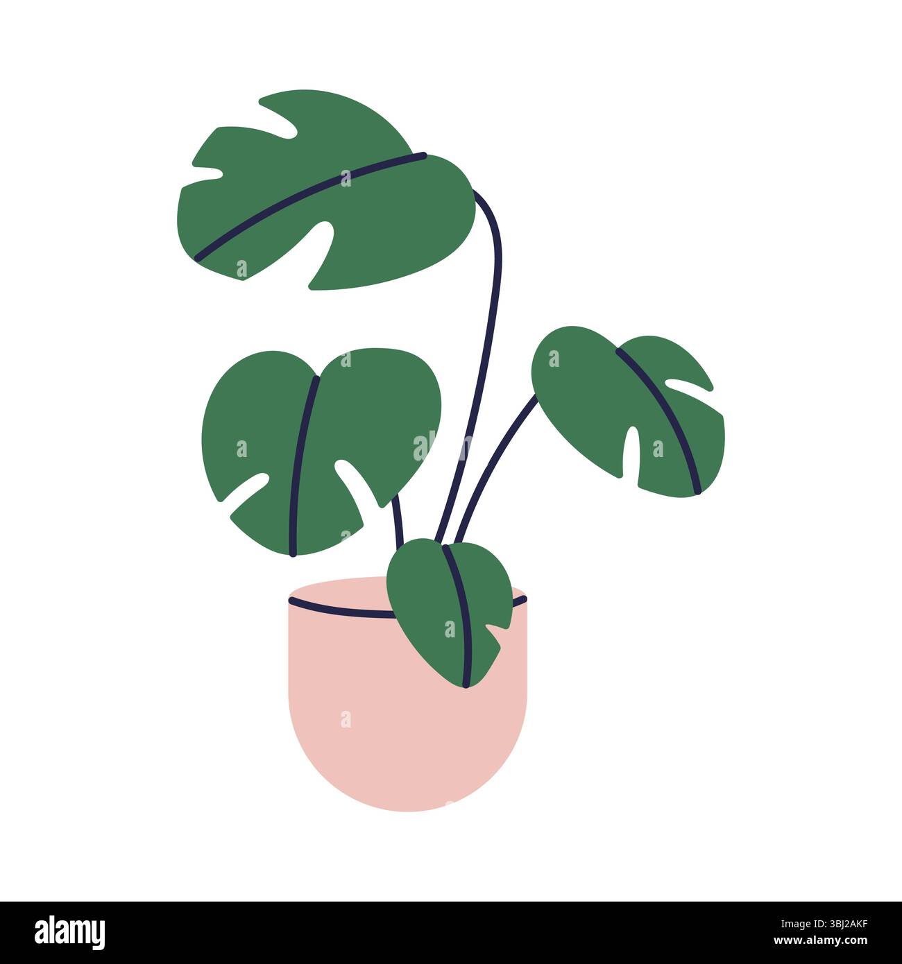 Monstera leaves shadow in Stock Vector Images - Alamy