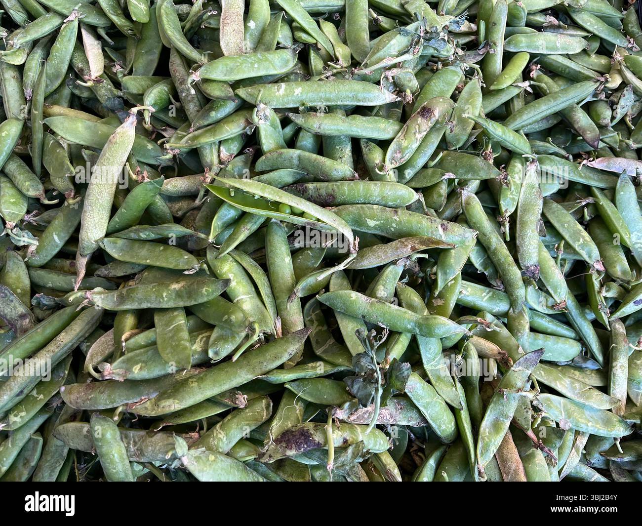 Raw pea (Turkish: Bezelye) on a supermarket counter Stock Photo - Alamy