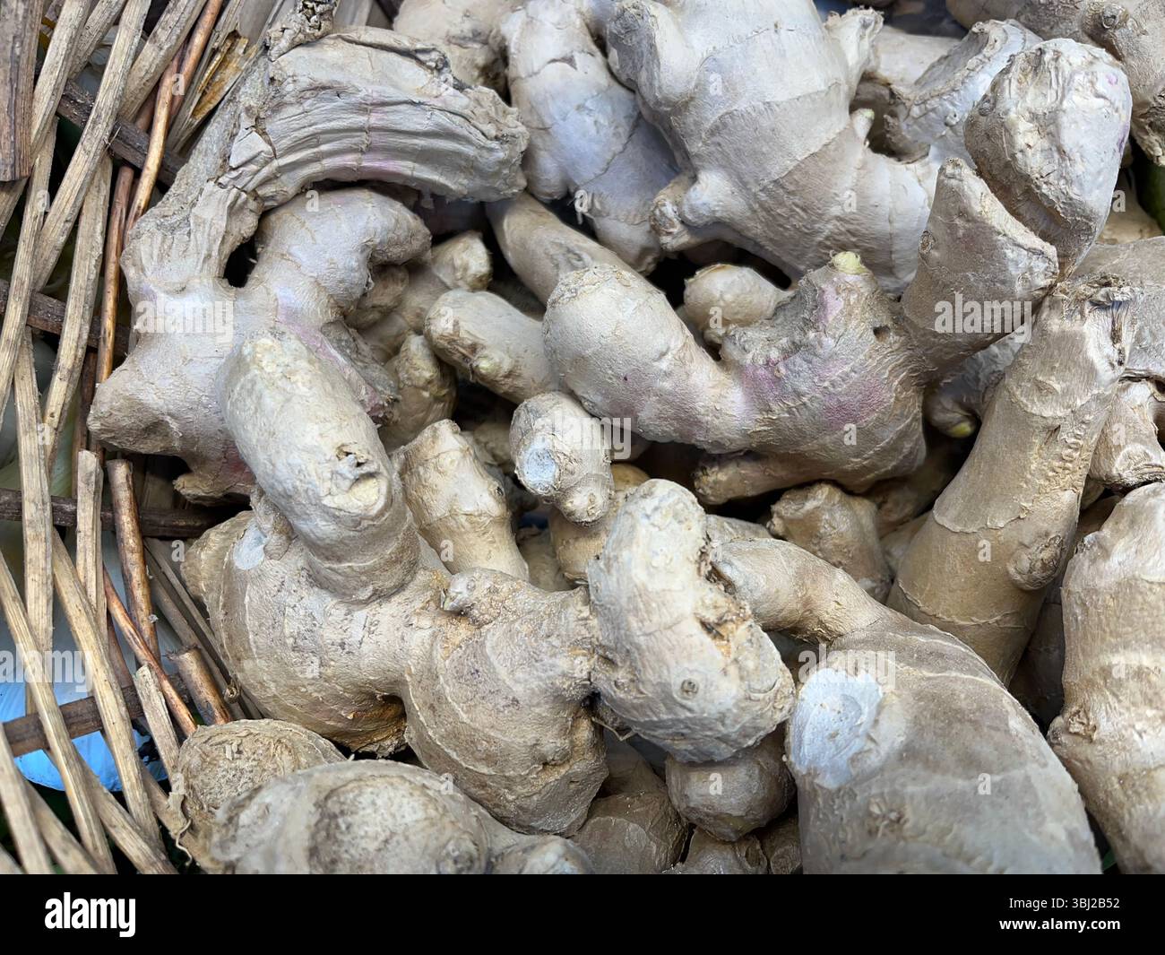 Raw earth apple (Turkish: Yer Elmasi-Zencefil) on a supermarket counter ...