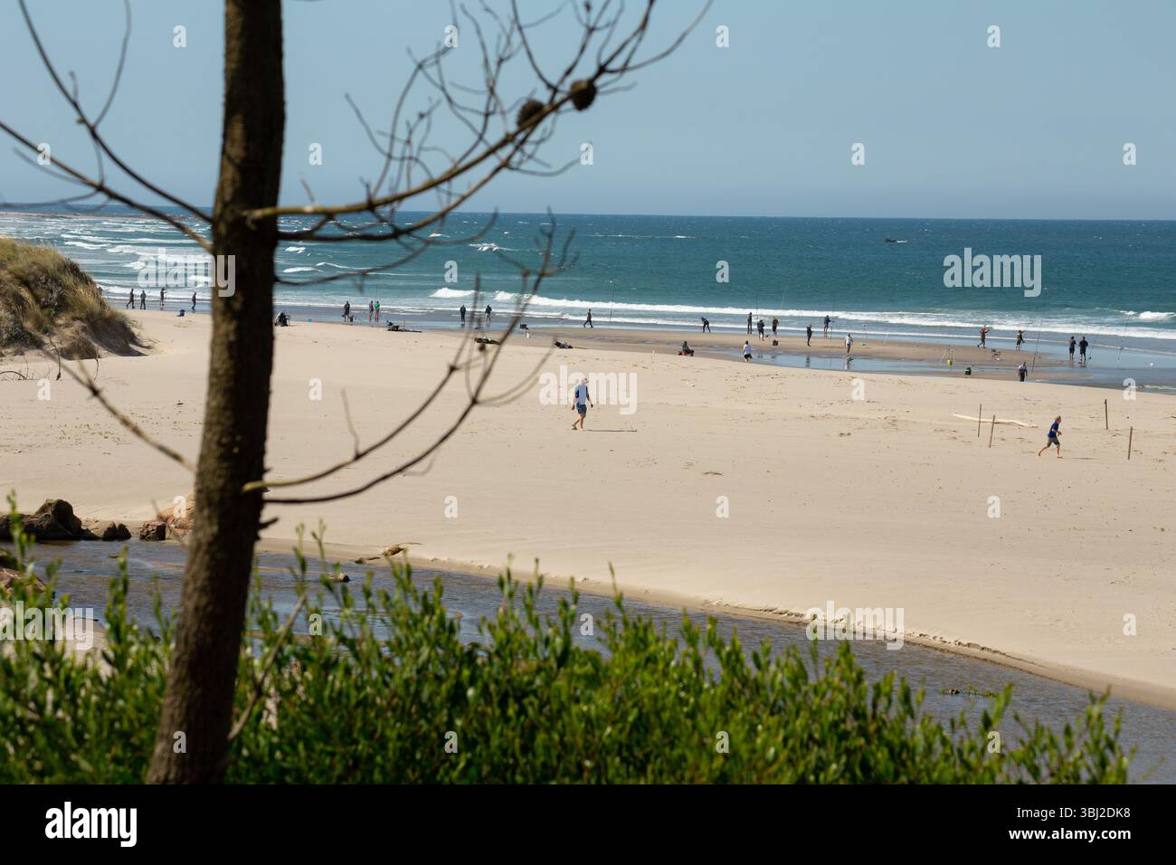 Viana do castelo portugal cabedelo hi-res stock photography and images ...