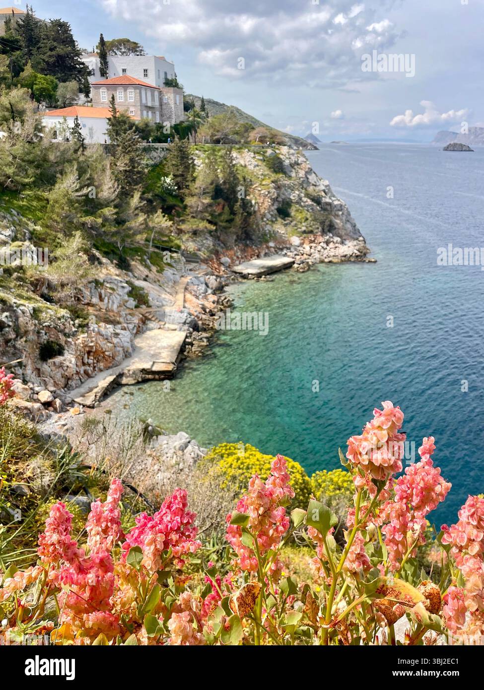 Flowers pink wildflowers greece hi-res stock photography and images - Alamy