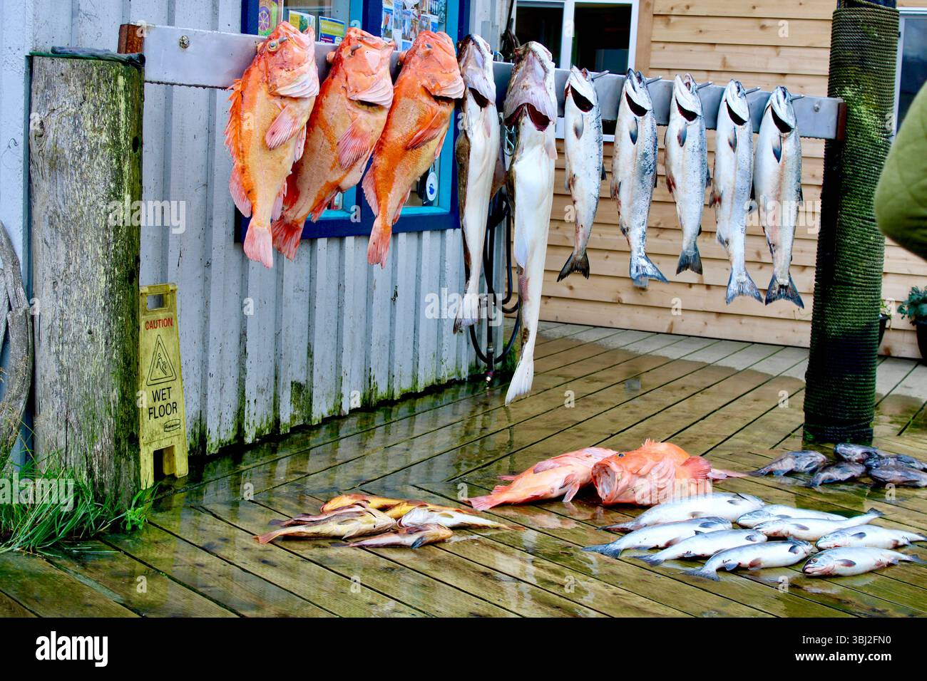 Homer award hi-res stock photography and images - Alamy