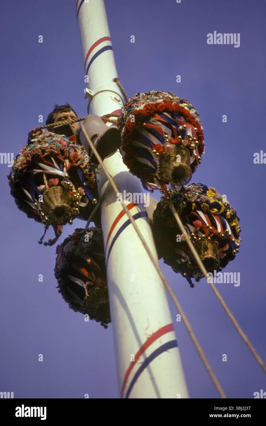 Maypole England. Barwick in Elmet Maypole raising ceremony. The 86 feet ...