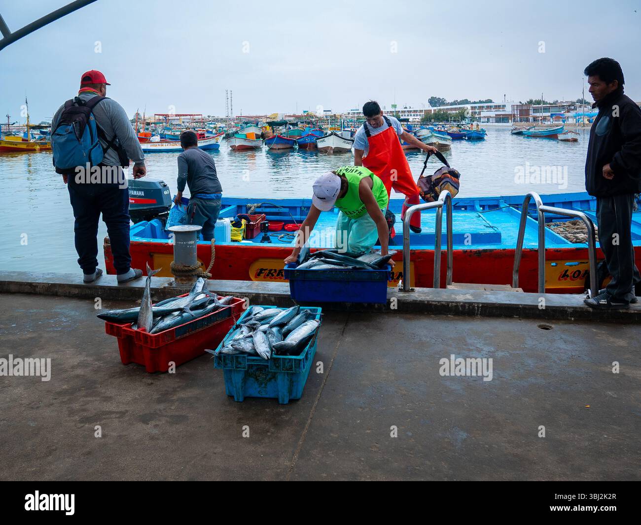 Islas Ballestas, Peru - August 5 2024: Group of Peruvian Fishermen with ...