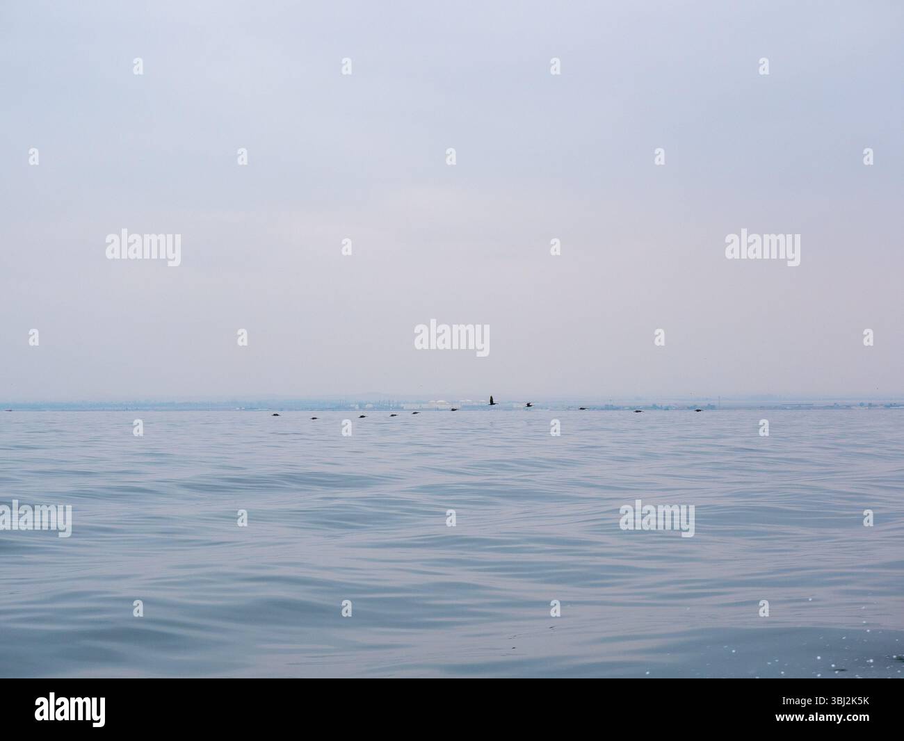 Birds Flying over the Pacific Ocean at Paracas, Ica, Peru Stock Photo ...