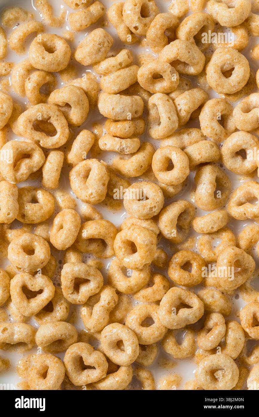Healthy Round Oat Breakfast Cereal with Whole Milk and Juice Stock ...