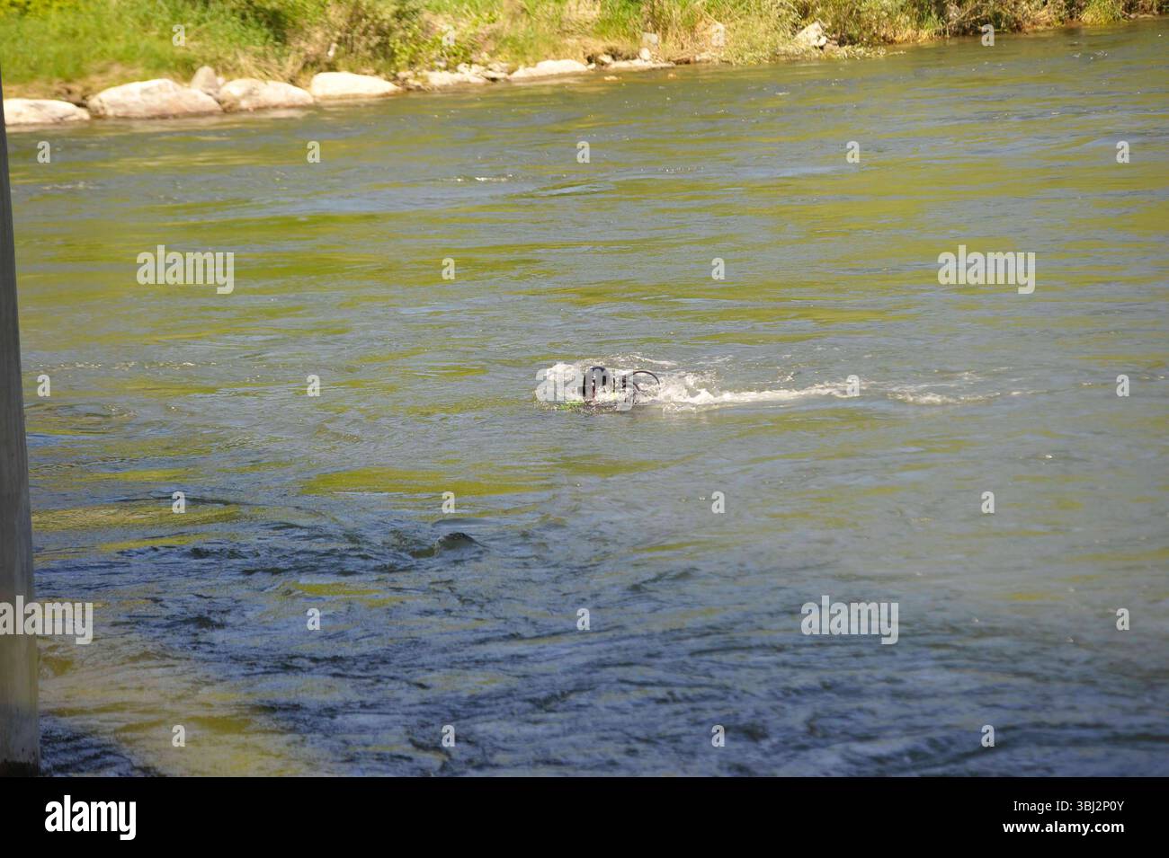 a fire department rescue diver with scuba equipment and gear fire ...