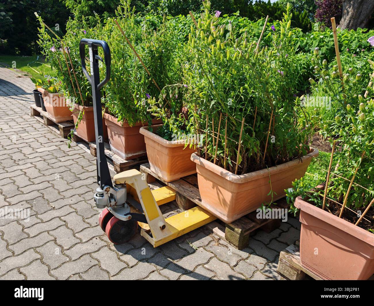 Logistics in crop production and plant cultivation, transport of ...