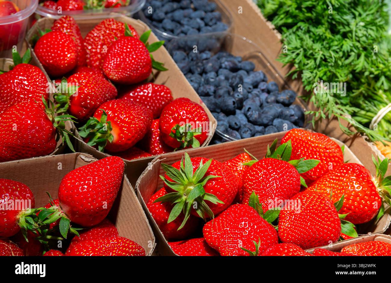 Close-up of fresh strawberries and edible honeysuckle berries in paper ...