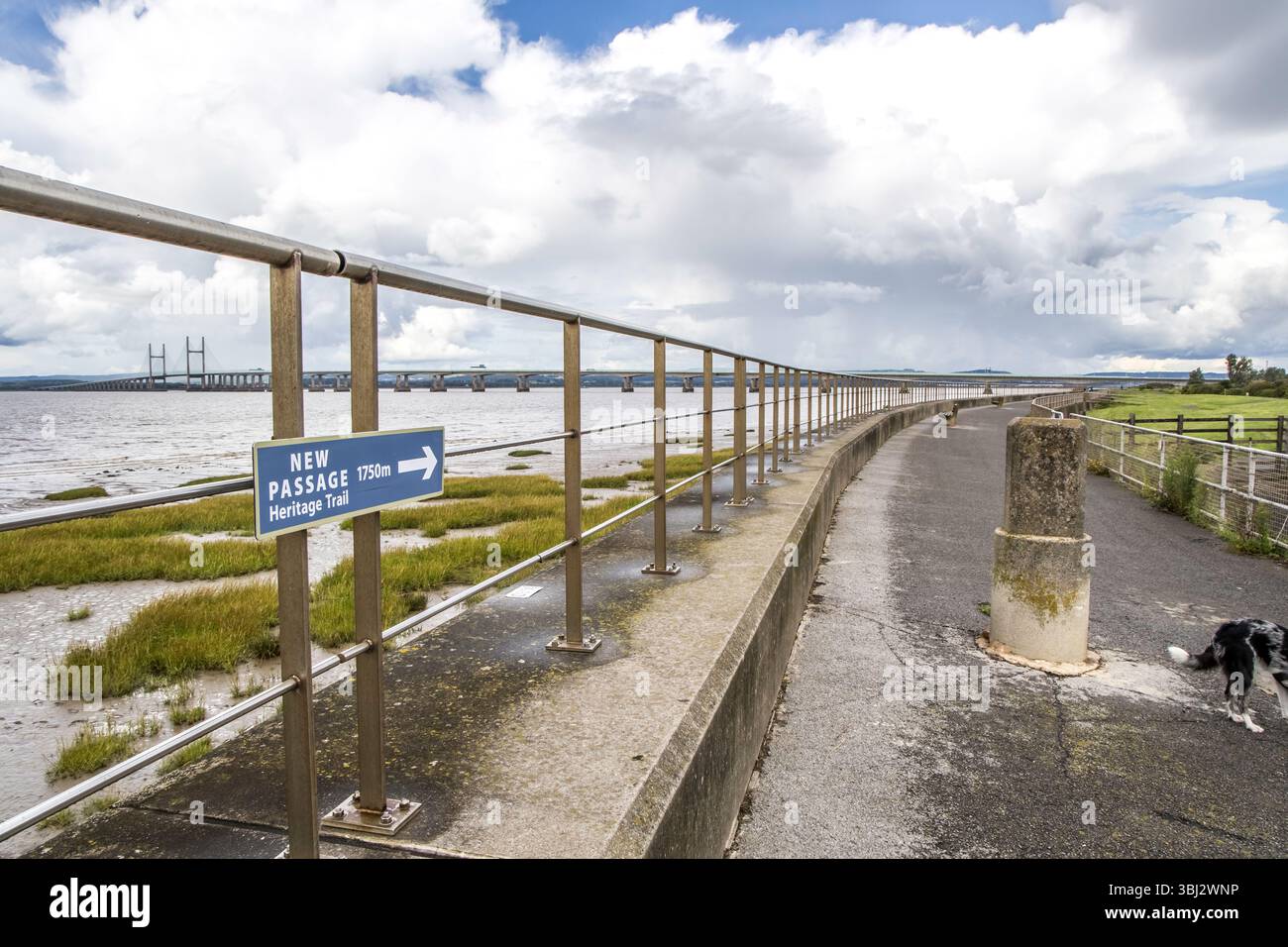 The prince of wales bridge carrying the M4 across the Severn estuary ...