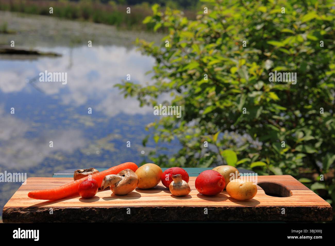 Preparing vegetables to cook in a aluminum foil pack over an openfire ...