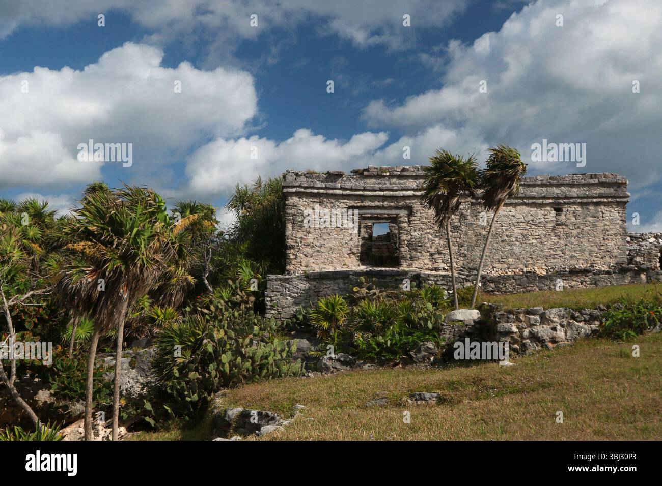 The House of The Cenote - Mayan ruin in archaeological site in Tulum ...