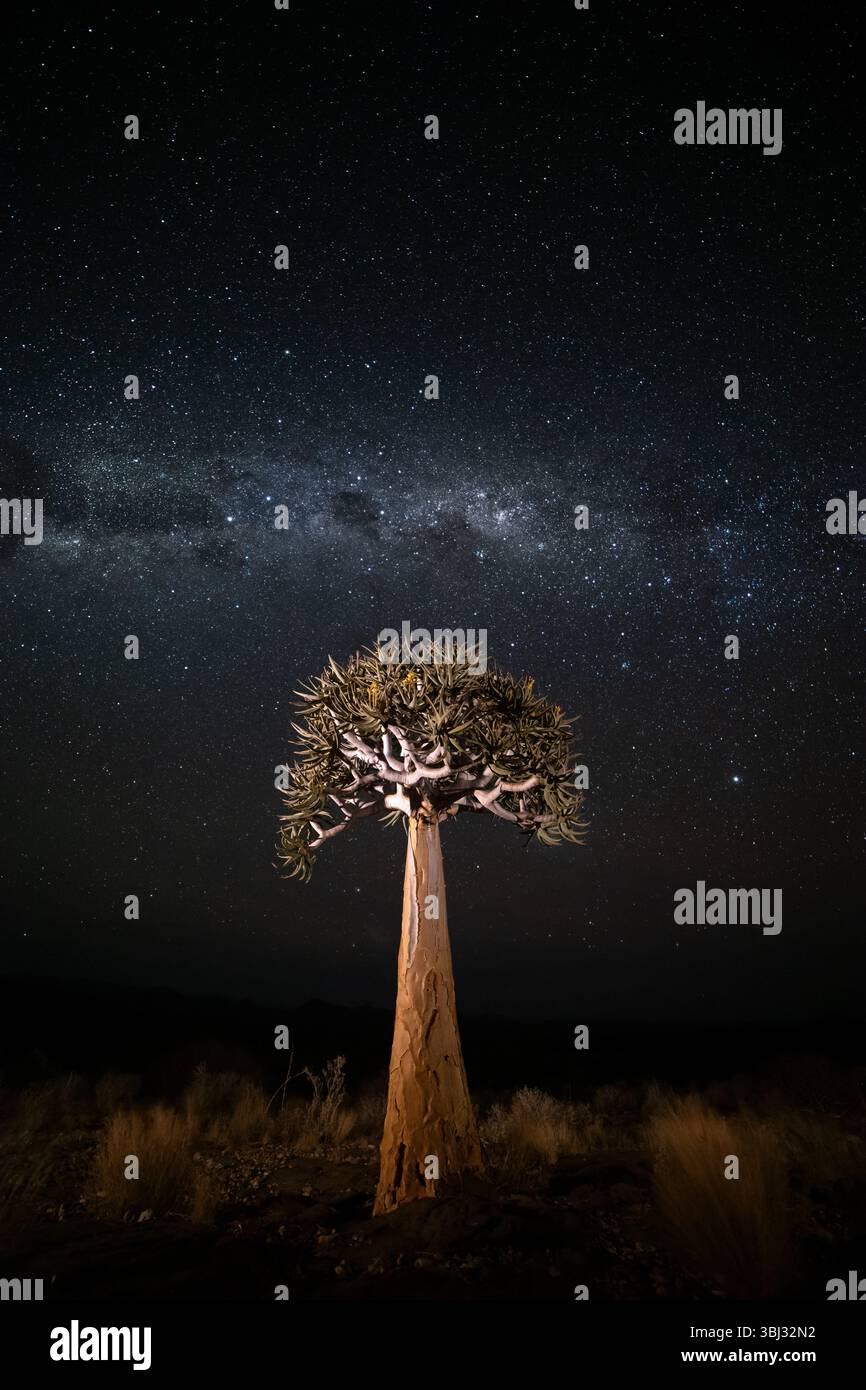 Band of stars hi-res stock photography and images - Alamy