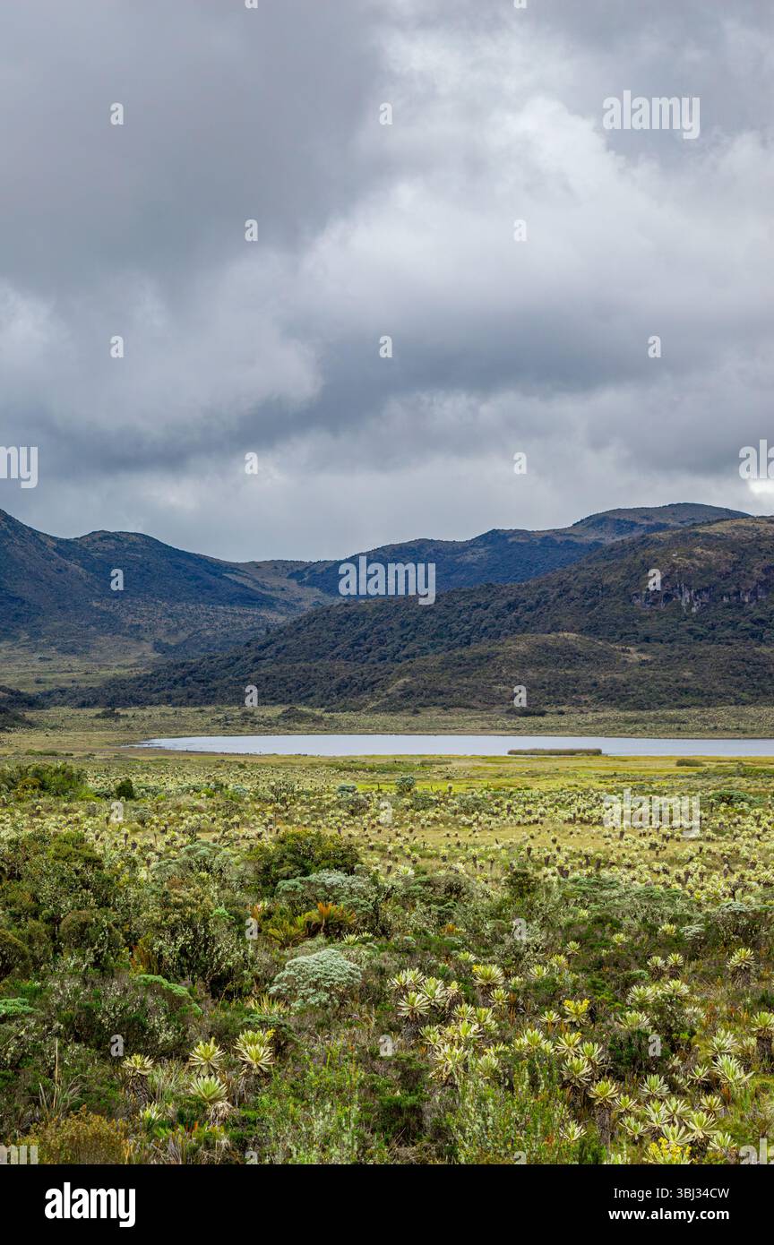 Breathtaking landscape of San Juan hot springs in Puracé, showcasing ...