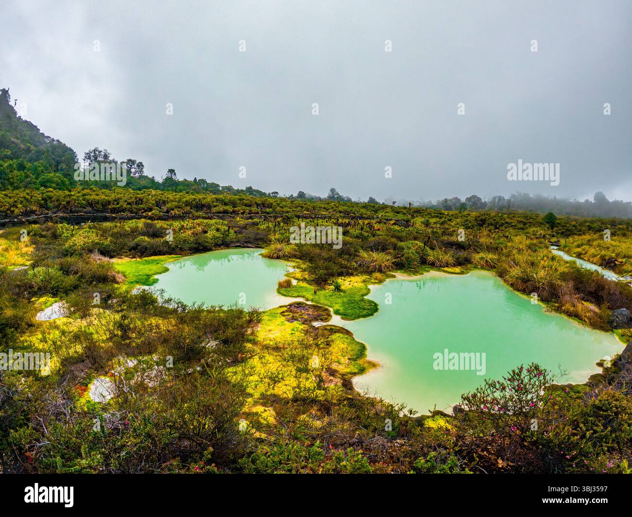 Lush green landscape with thermal pools at Termales de San Juan, Puracé ...