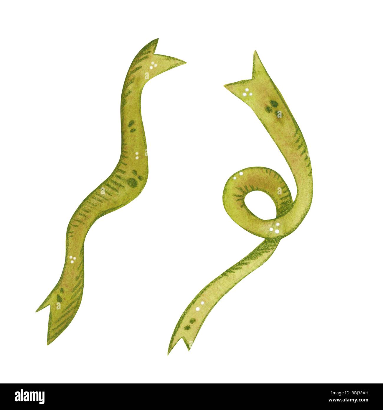 Set of green ribbons watercolor illustration Stock Photo - Alamy