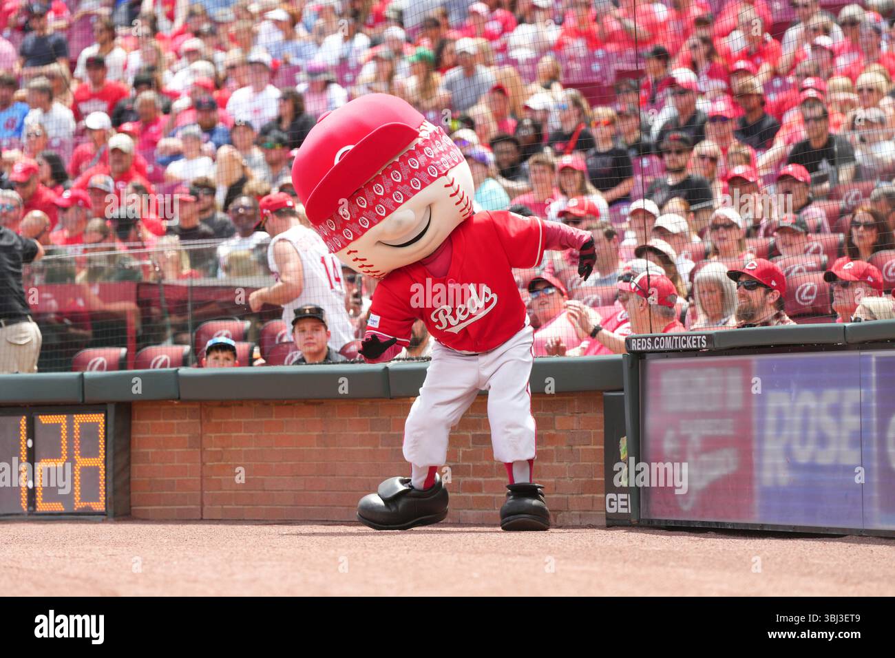 Cincinnati Reds mascot Mr. Red performs during a baseball game against ...