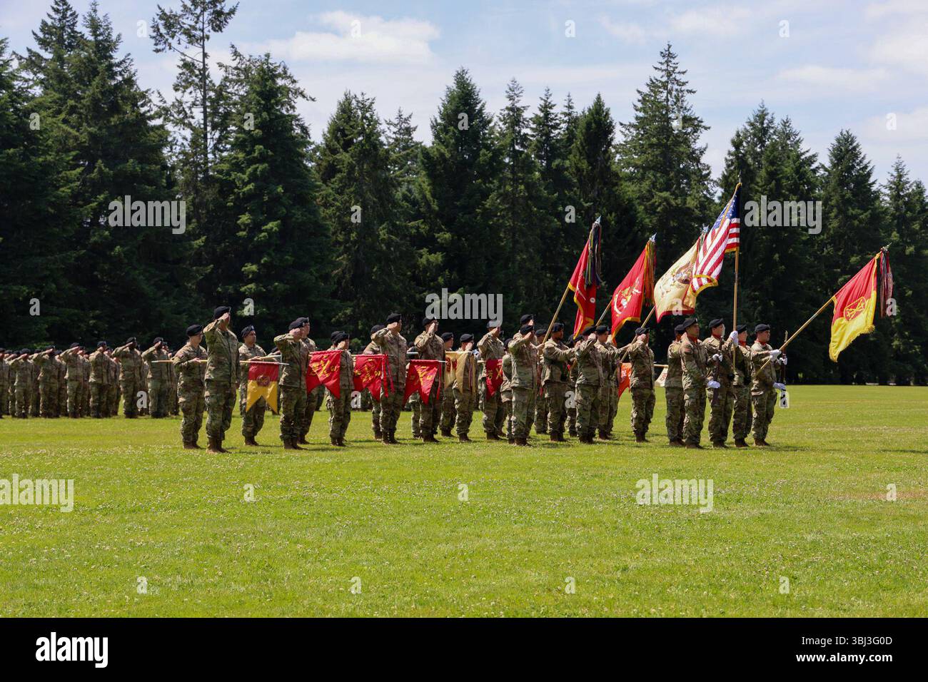 U.S. Army Soldiers with the 17th Field Artillery Brigade, stand in ...