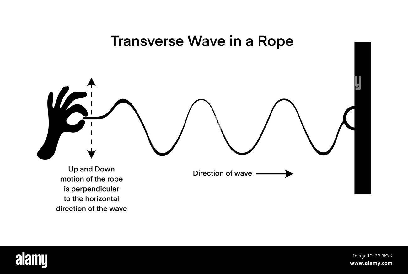 Diagram showing wave movement Cut Out Stock Images & Pictures - Alamy