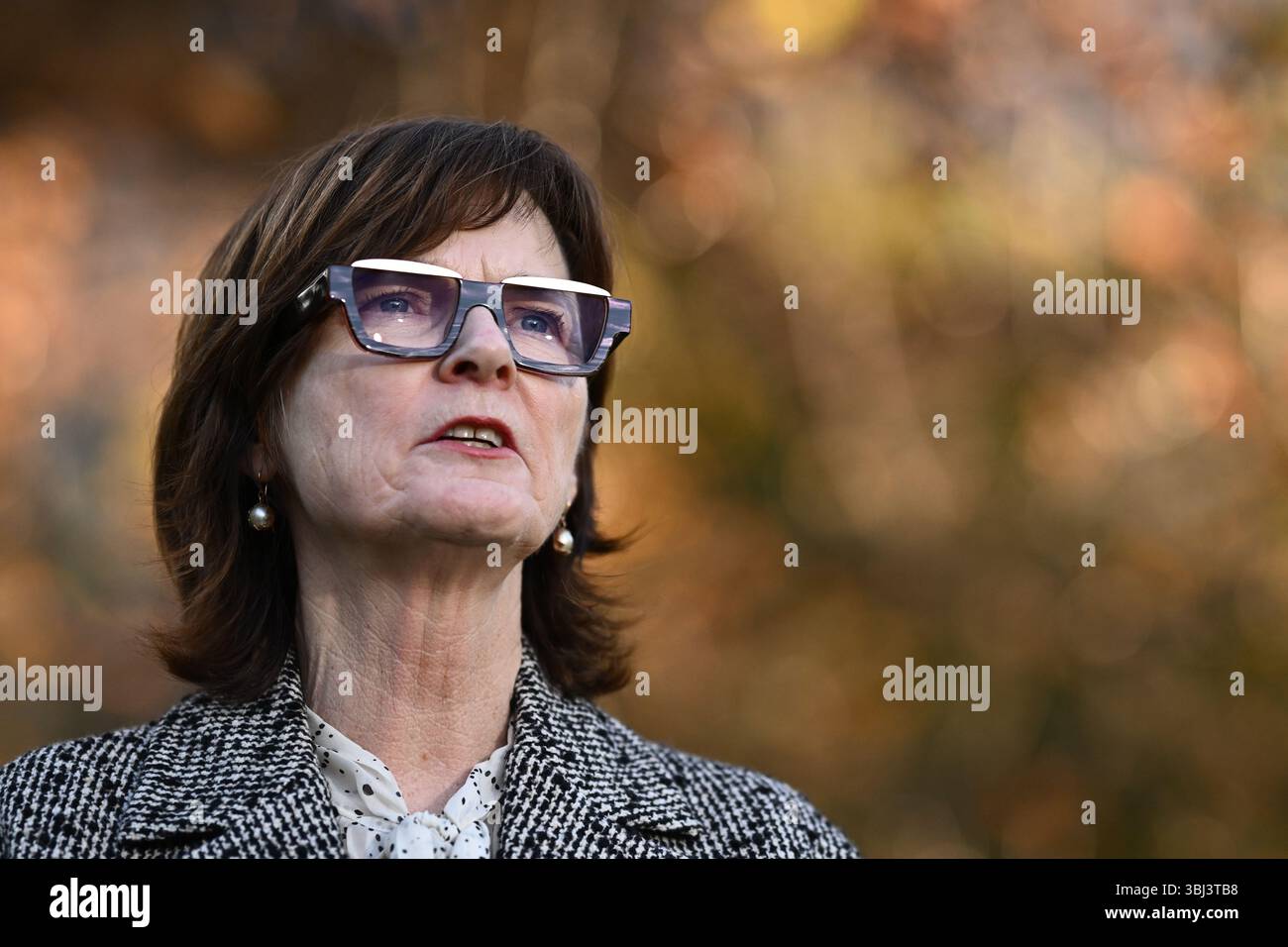 Victorian Minister for Health Mary-Anne Thomas speaks to media ...