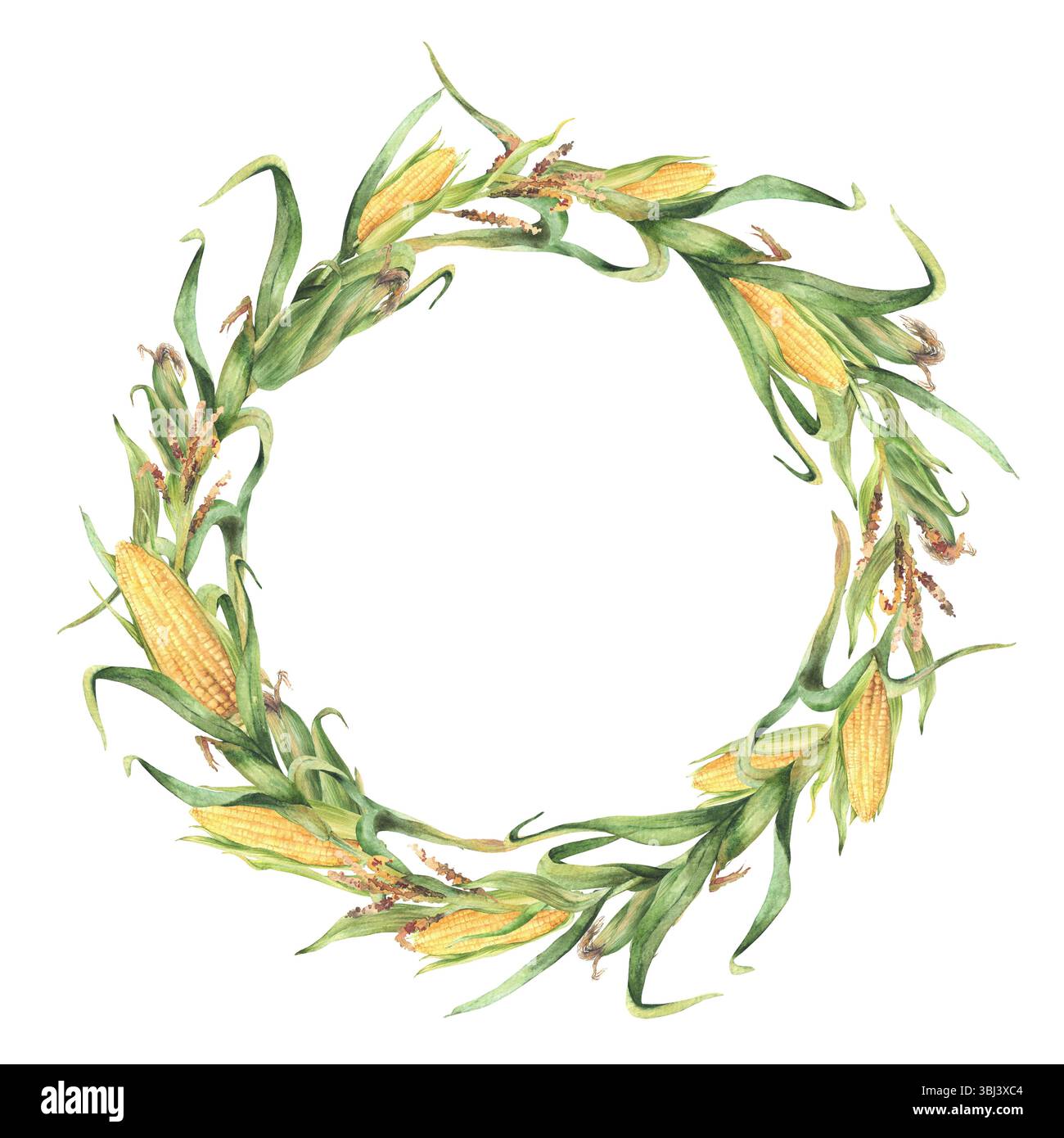 Corn plant wreath. Golden maize plant stalk with corncob, flowers and ...