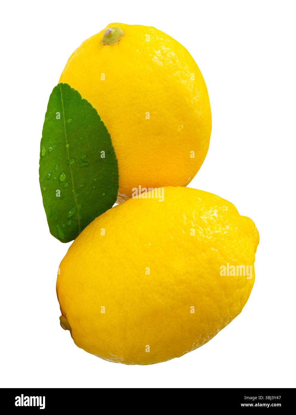 Big yellow leaf in Cut Out Stock Images & Pictures - Alamy