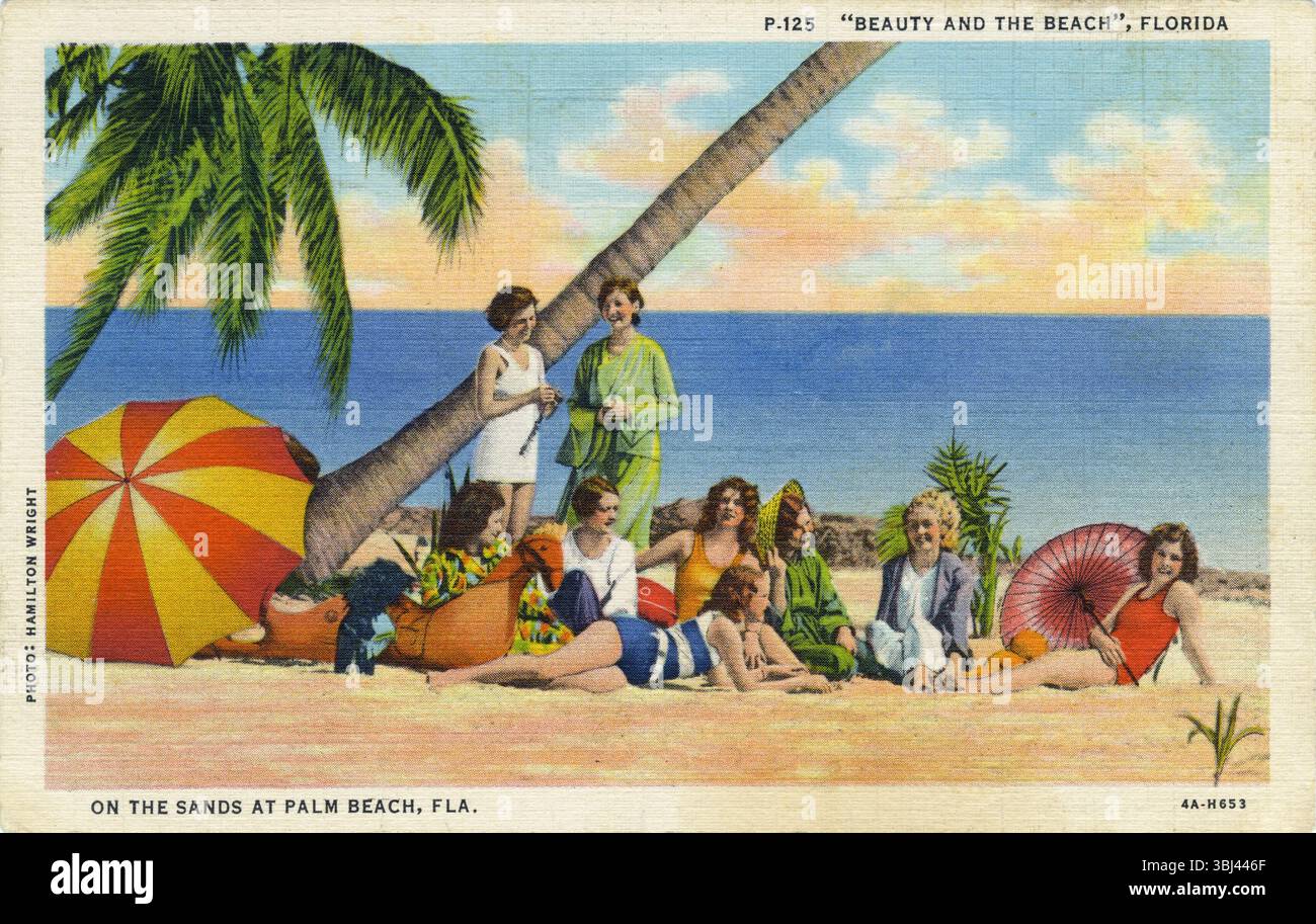 Vintage postcard, Florida, USA Stock Photo - Alamy