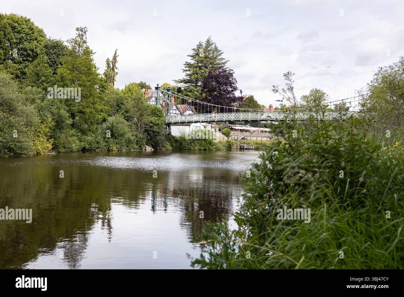 Suspension Bridge in The Quarry Park, Shrewsbury Stock Photo - Alamy