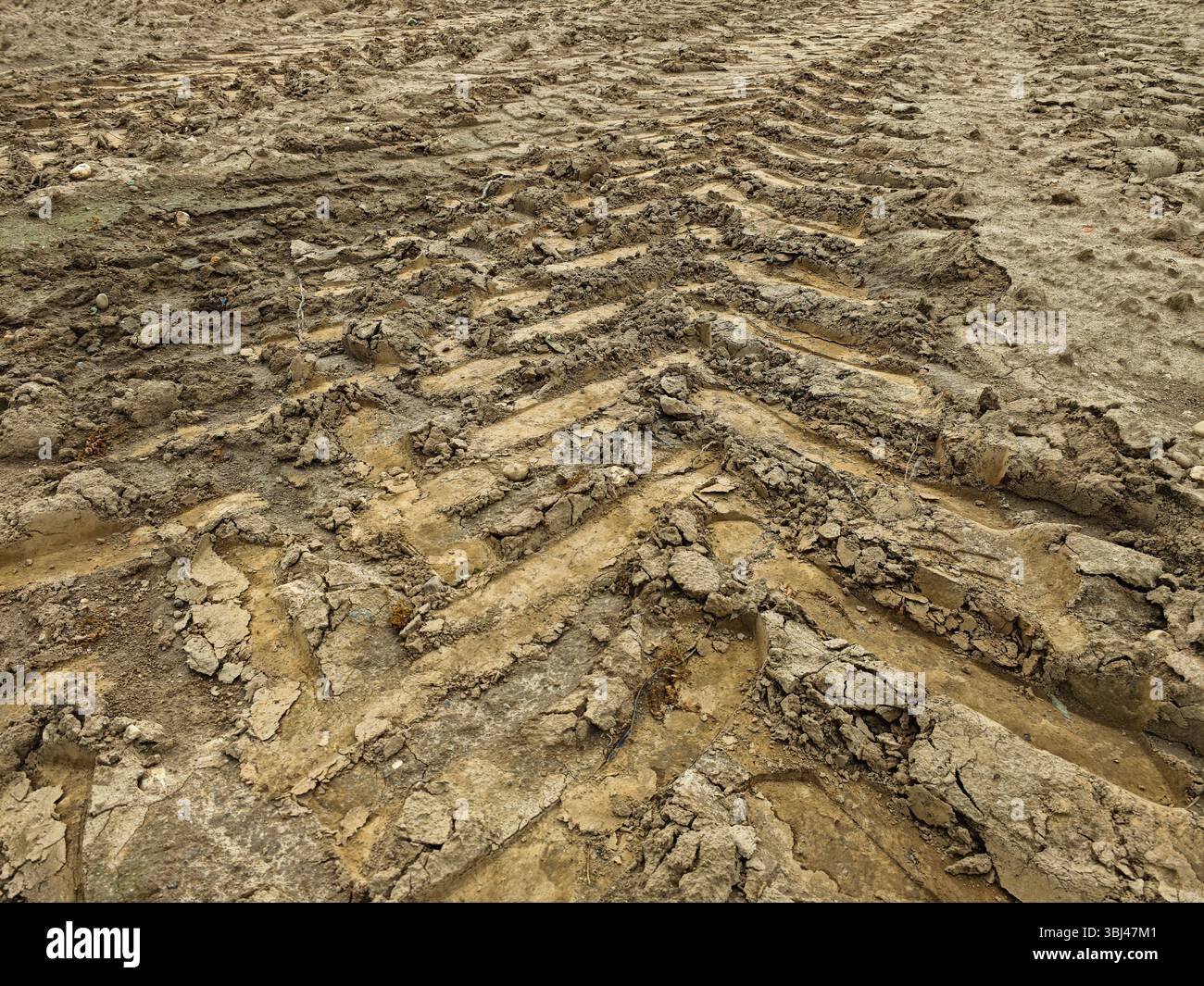 Deep tire tracks cut through dry, cracked soil in an agricultural field ...