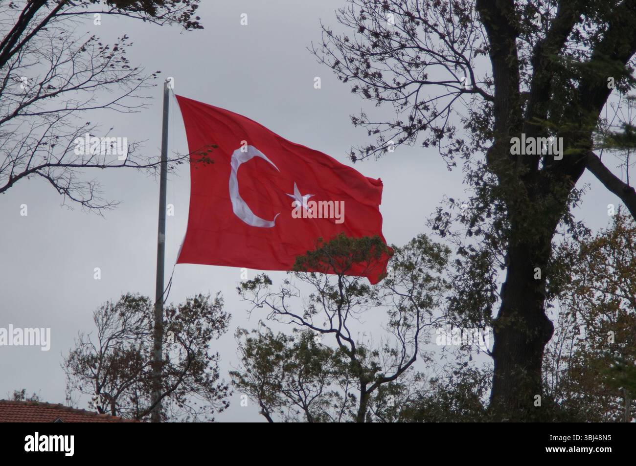 Turkish flag waving between trees Stock Photo - Alamy