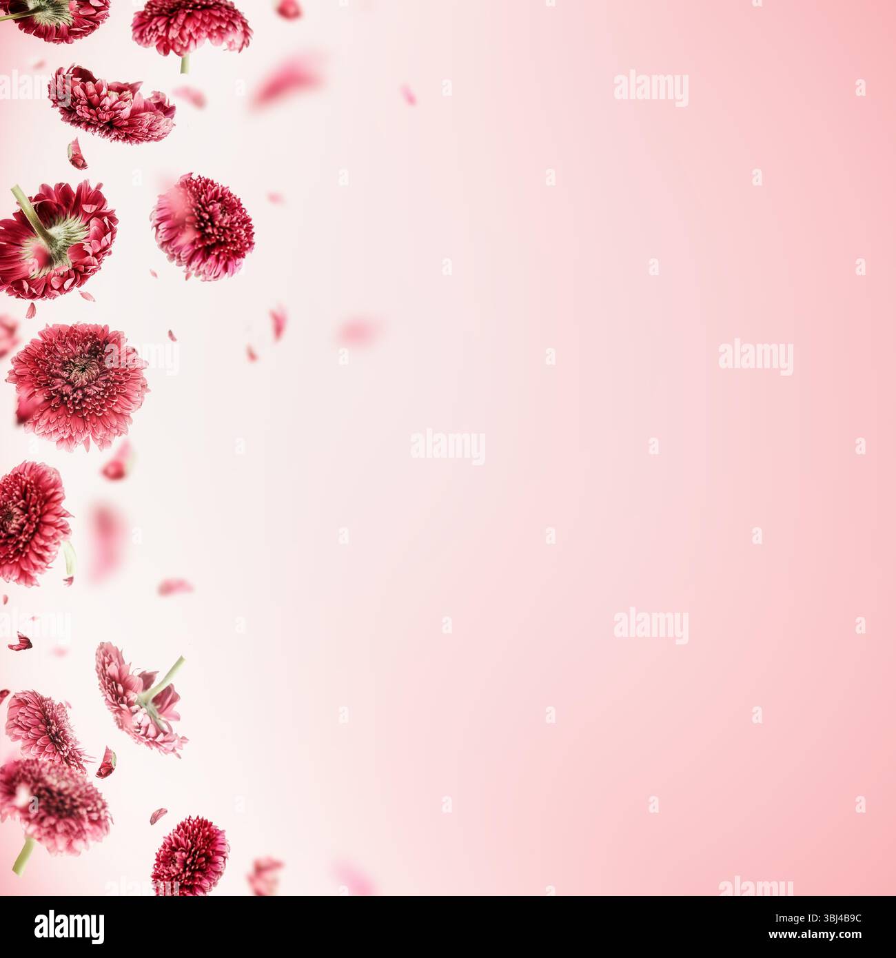 Floral frame with flying pink flowers at light background. Border made ...