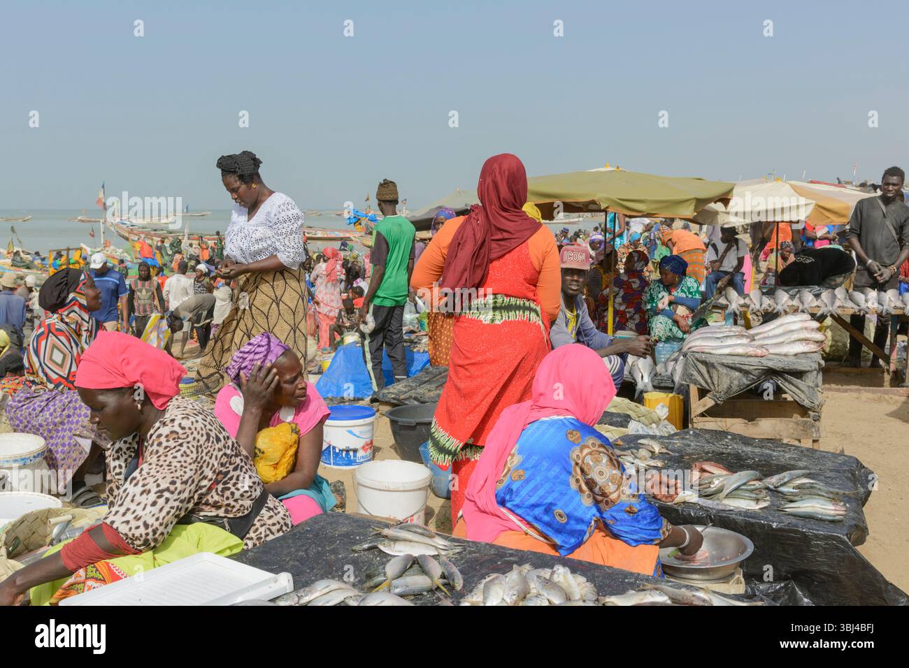 Daily fish market on the beach in Mbour, Petite Cote, Thies Region ...