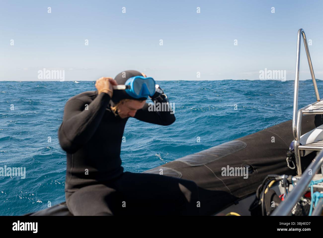 Professional diver wearing wetsuit hi-res stock photography and images ...