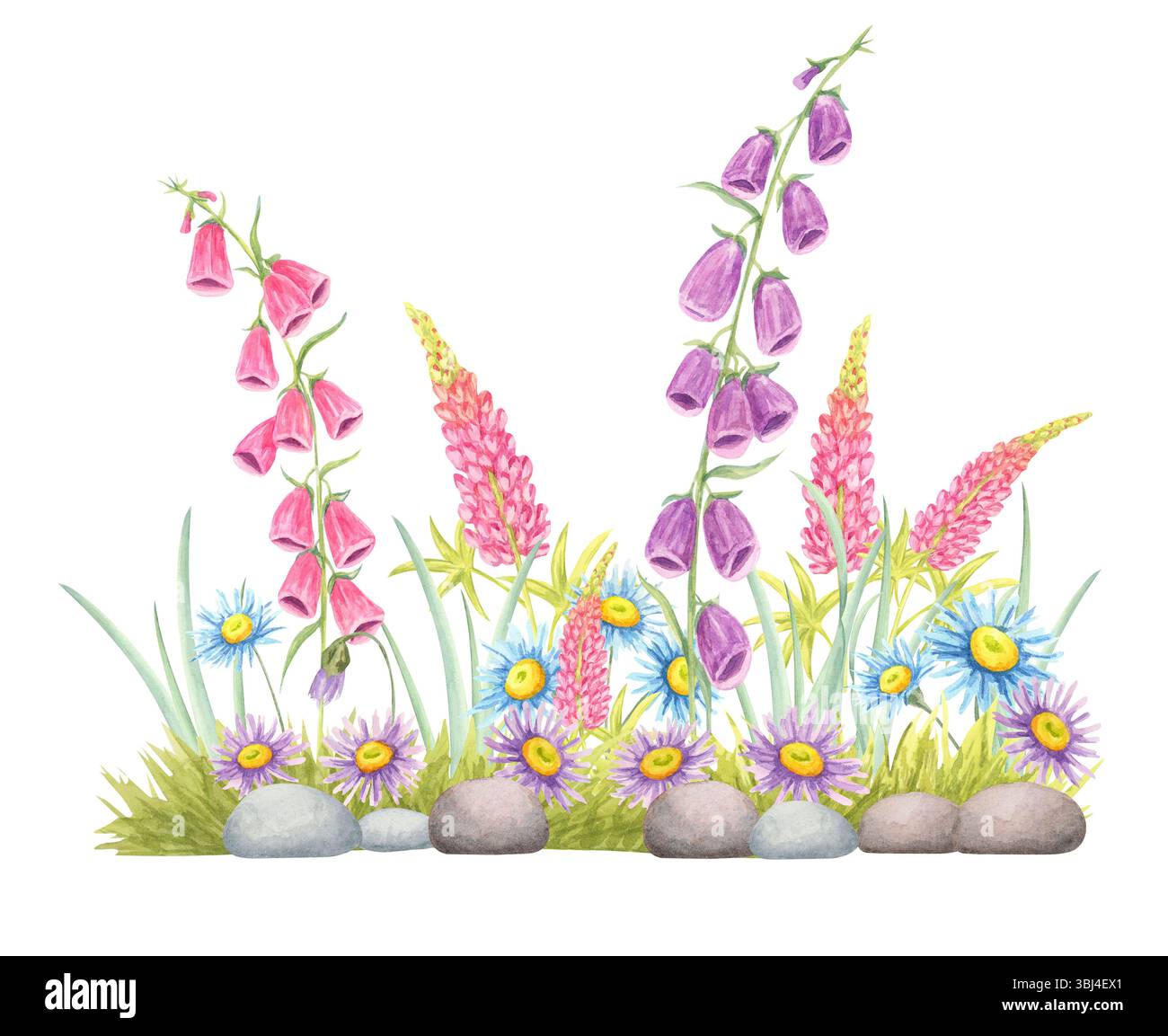 Garden border with foxgloves, lupins, daisies, and grass painted in ...