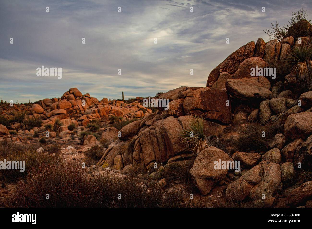 Alien terrestrial landscape in last light Stock Photo - Alamy