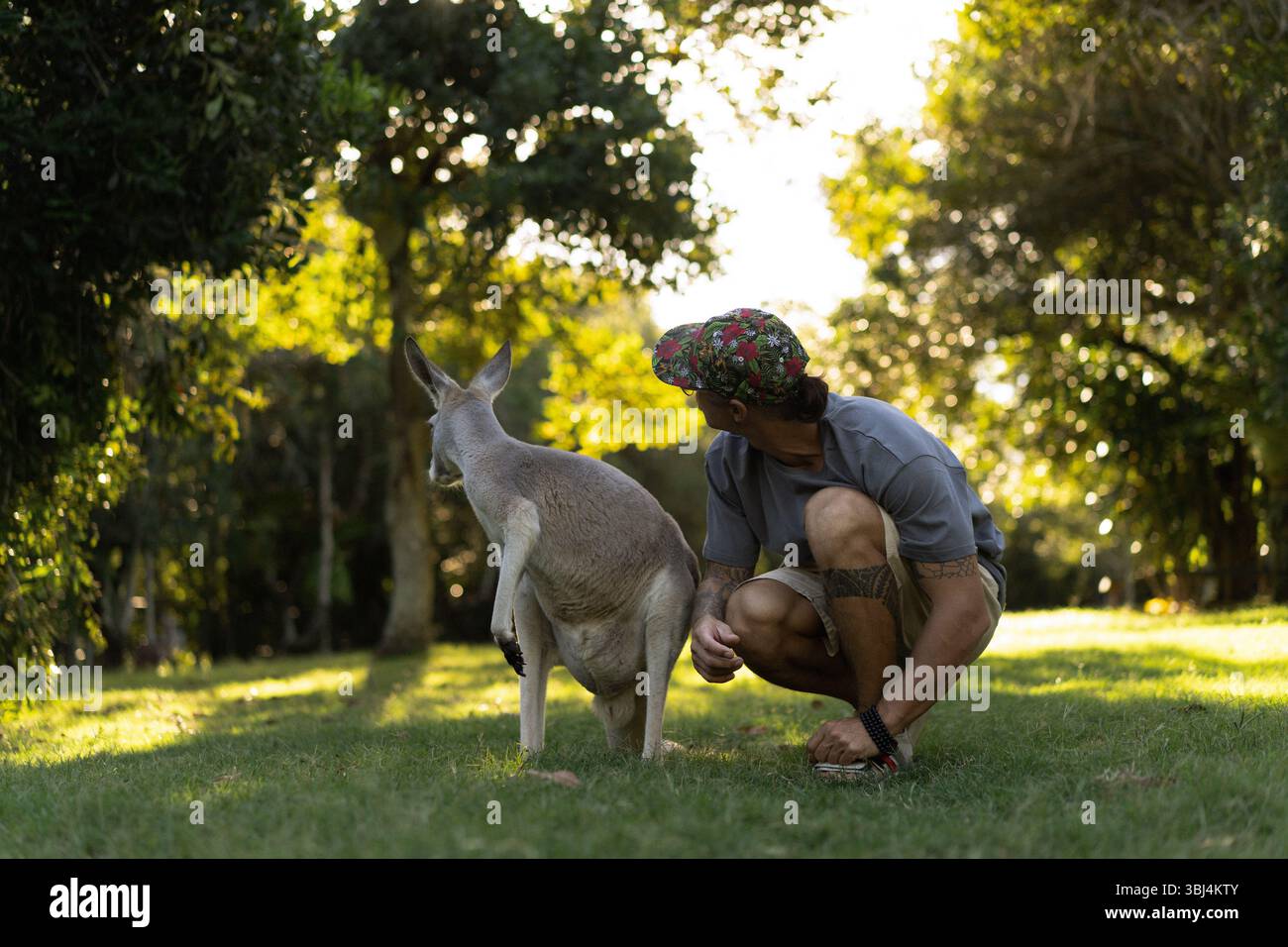 Man crouching beside kangaroo in forest glade, both looking away Stock ...