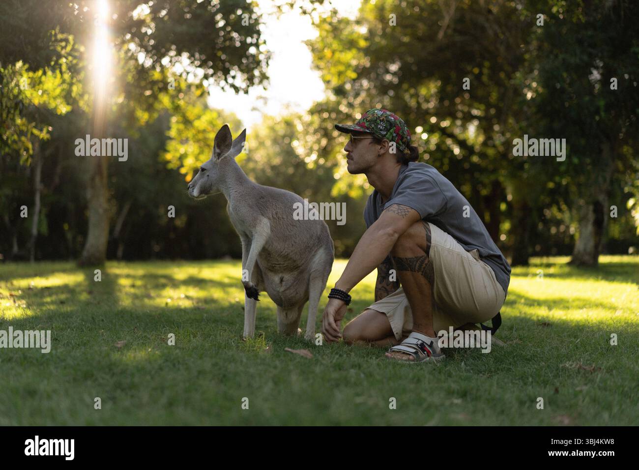 Man crouching beside kangaroo under warm sunlight in forest clearing ...