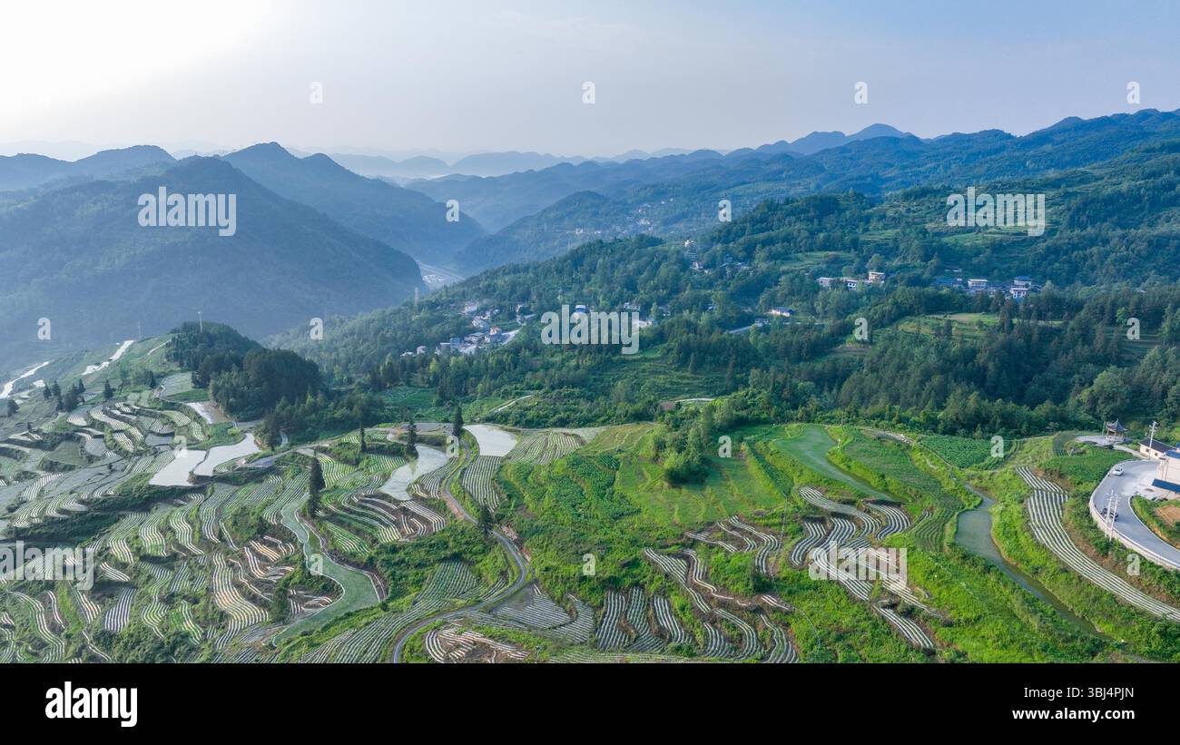 Aerial photo shows the terraced field in Youyang County, Chongqing ...