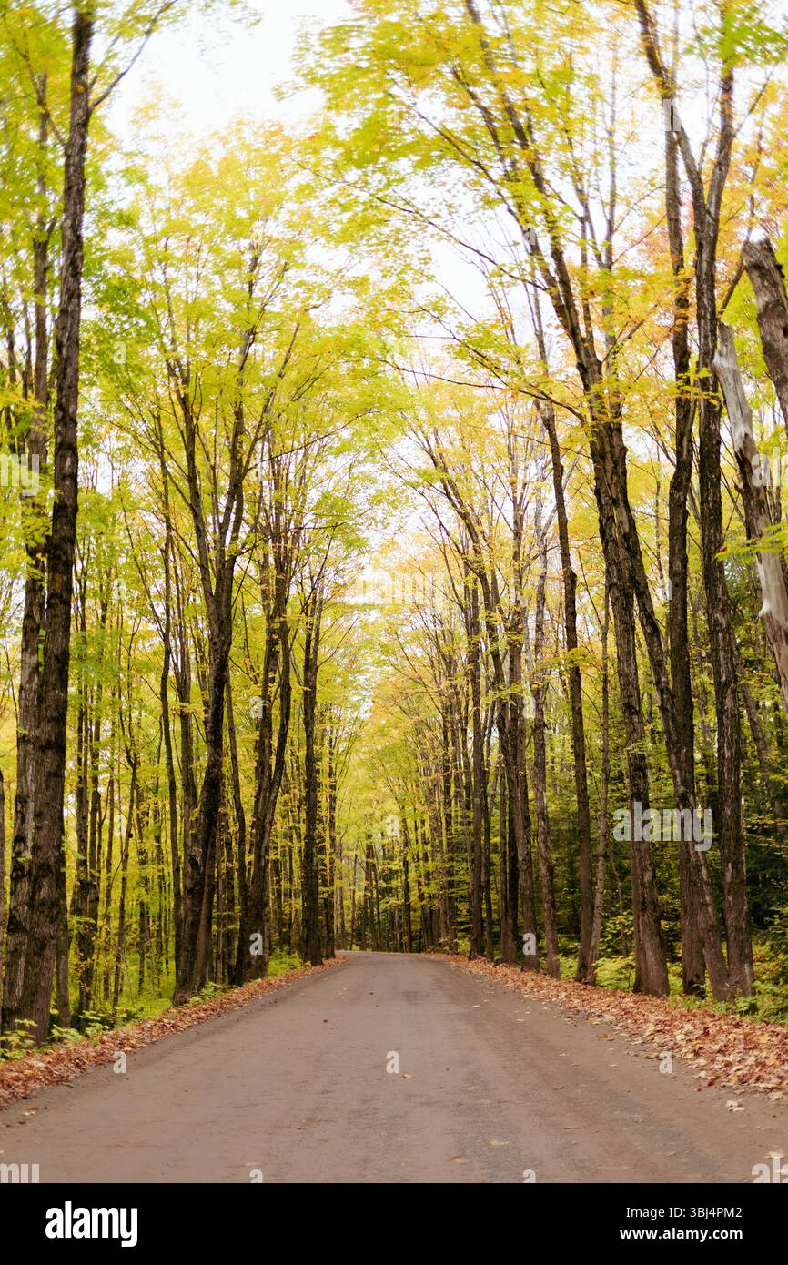 Fall Foliage road in the Keweenaw Peninsula Stock Photo - Alamy