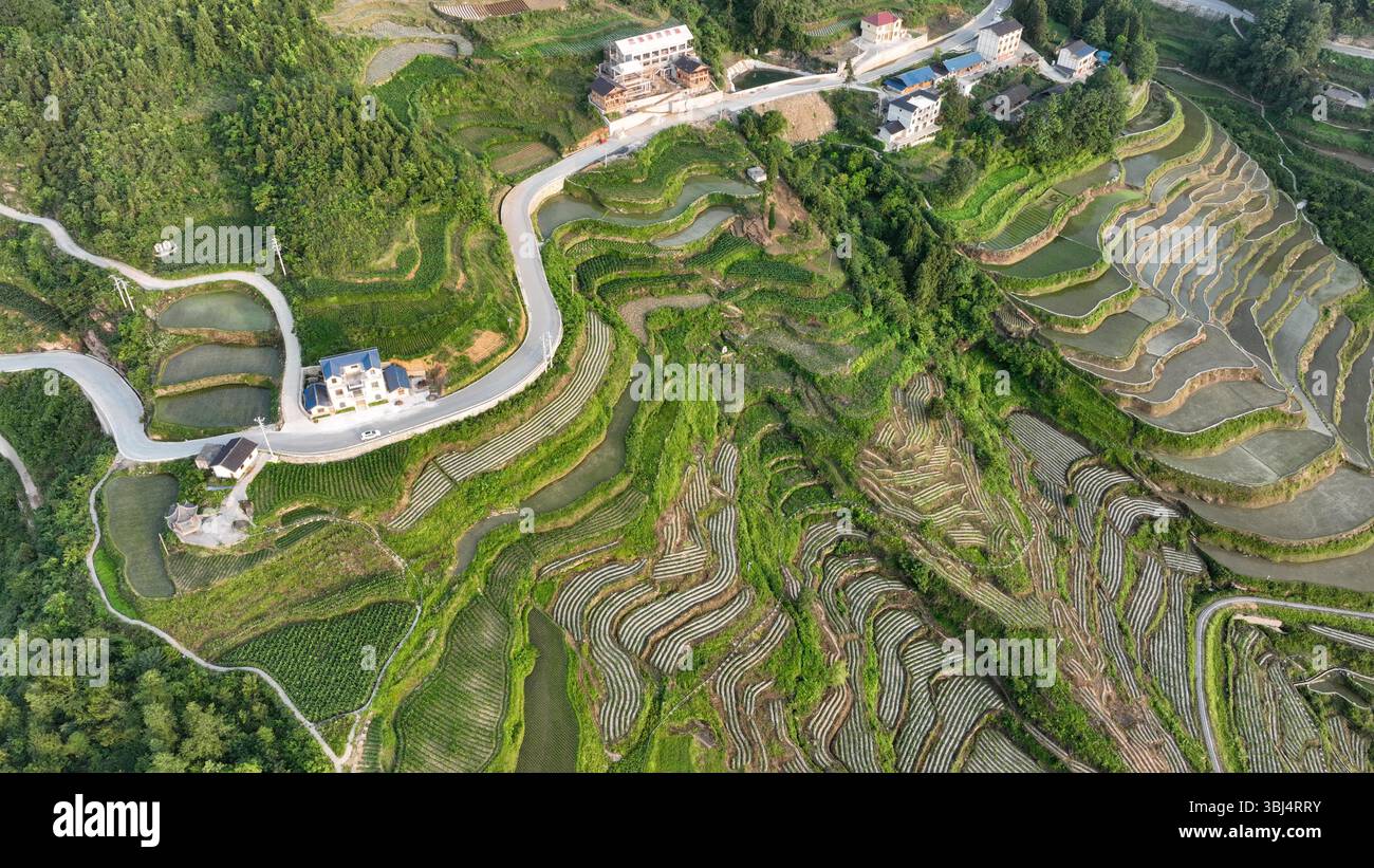 Aerial photo shows the terraced field in Youyang County, Chongqing ...