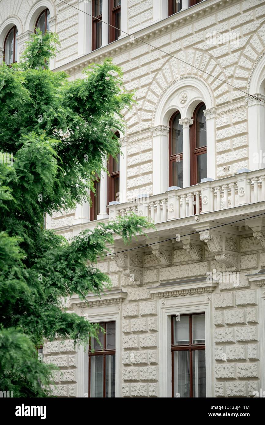 Elegant historic building with lush green tree in Vienna, Austria Stock ...