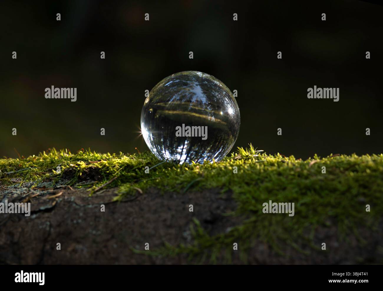 Glass globe representing Earth and nature. Transparent sphere ...