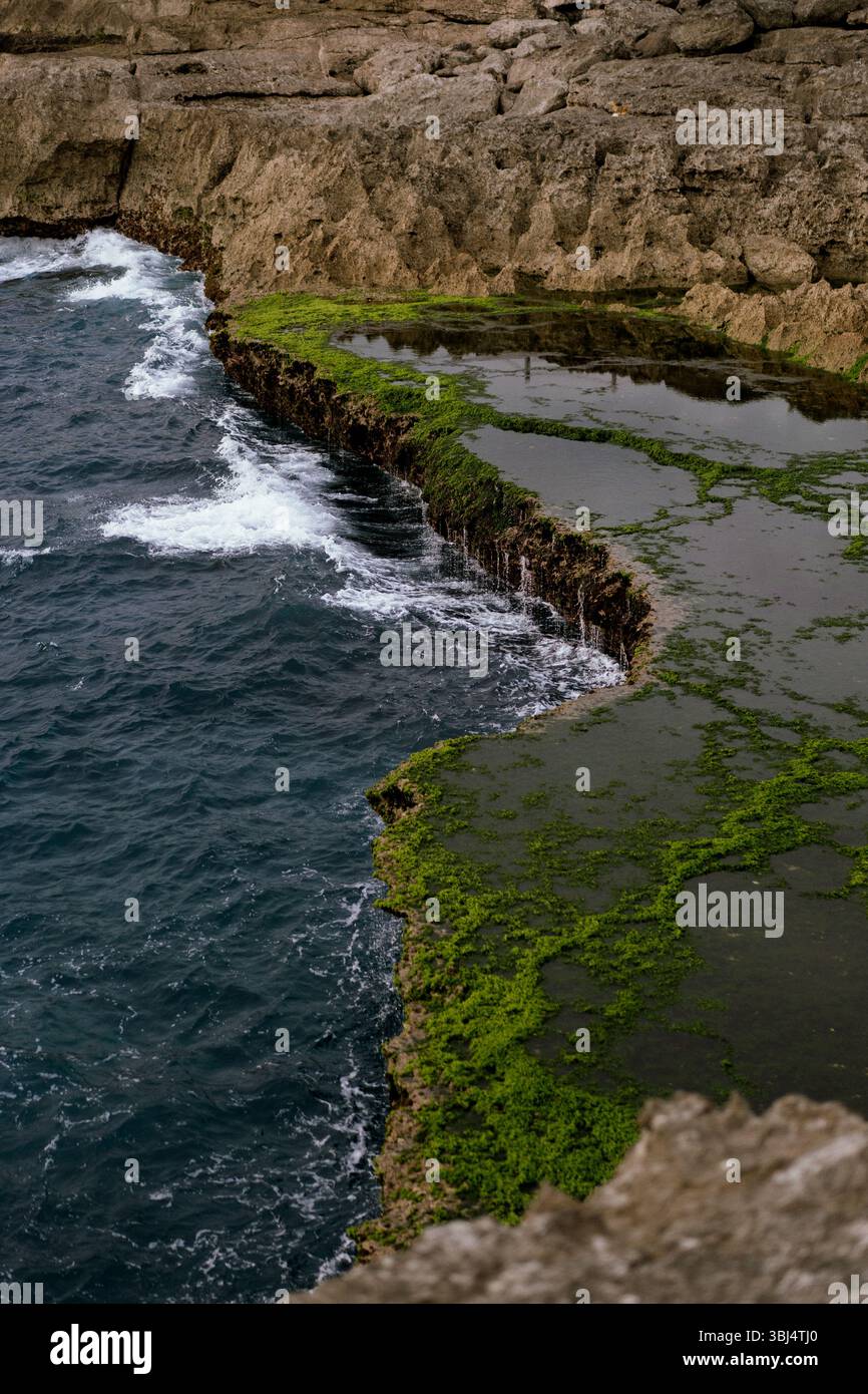 Moss ledge hi-res stock photography and images - Alamy