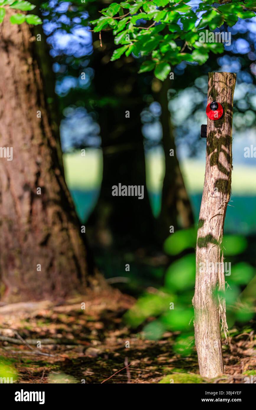 Naturfriedhof Markt Wald am 13.06.2025 in Schnerzhofen, Wald. Bayern Deutschland *** Natural ...
