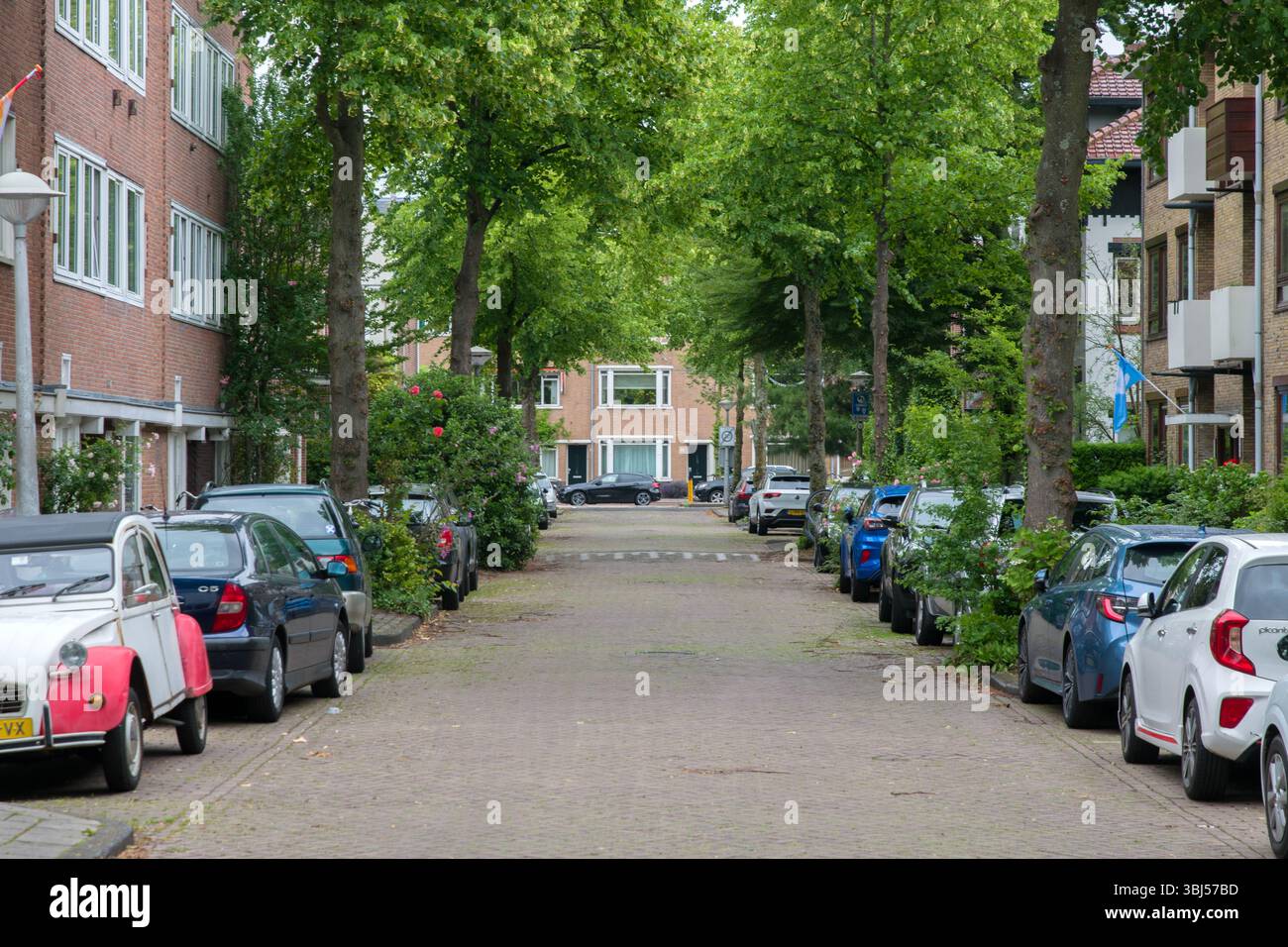 Amsterdam netherlands 2025 10 hi-res stock photography and images - Alamy