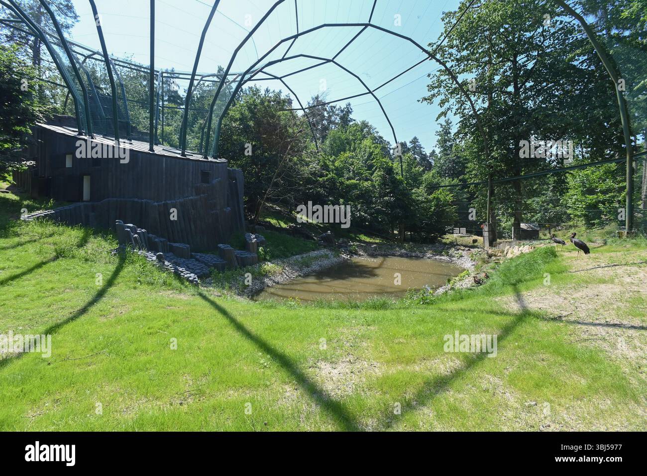 After eight years of renovations, the Olomouc Zoo opened a giant aviary ...