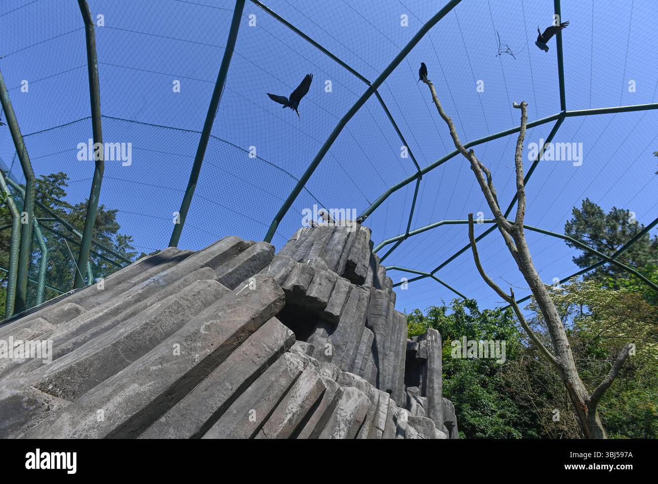 After eight years of renovations, the Olomouc Zoo opened a giant aviary ...