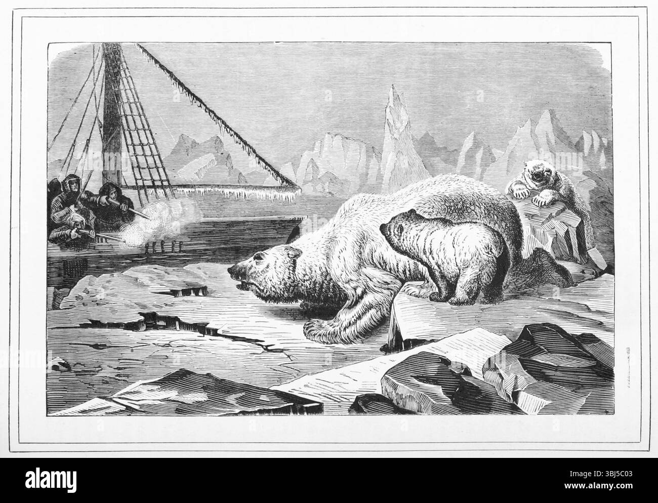 Shooting polar bears, 1880. Page 125 of "Adventures round the World ...