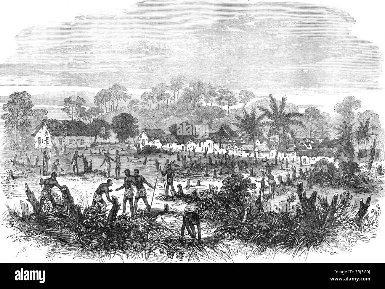 The Ashantee War: the battle-field of Abrakrampa - from a sketch by our ...